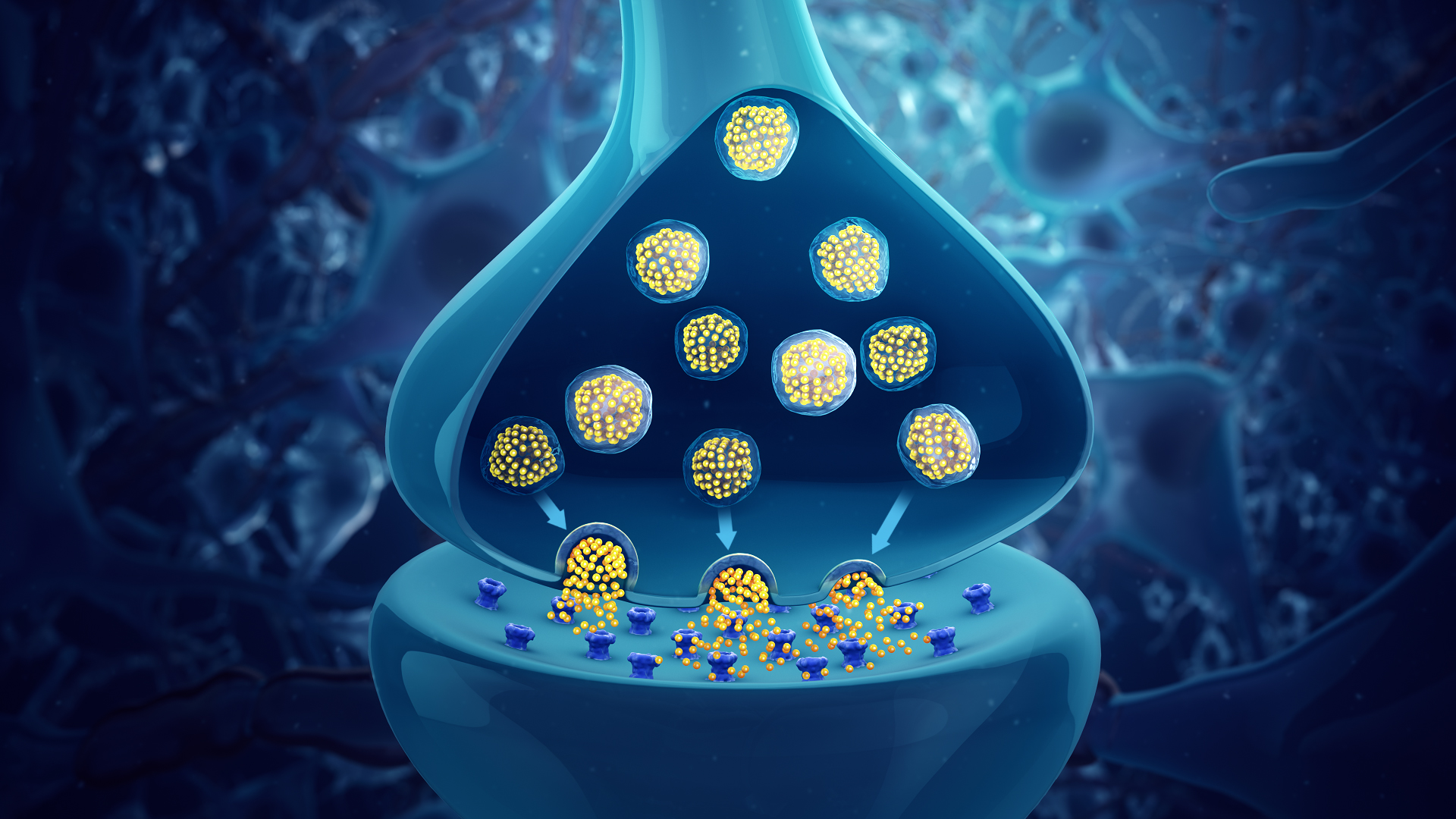 Food Affects Mood Through Chemicals in Your Brain Called ...